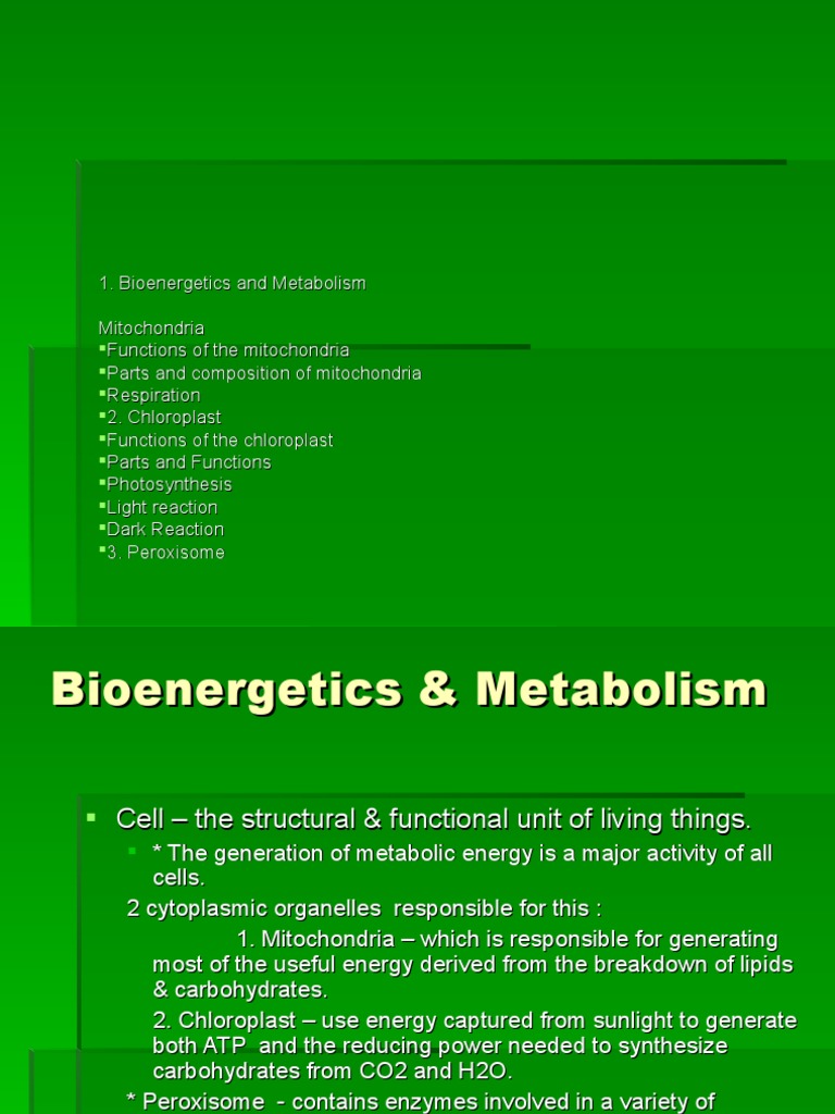 Cellular Bioenergetics Overview | PDF | Cellular Respiration | Chloroplast