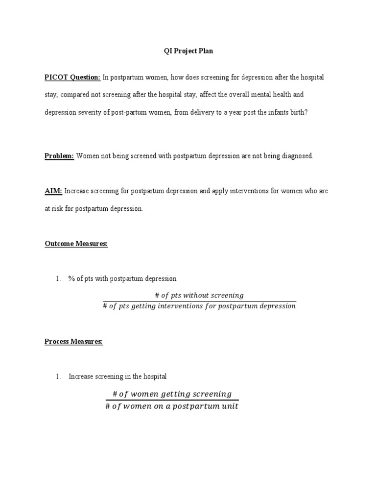 Qi Project Plan | PDF