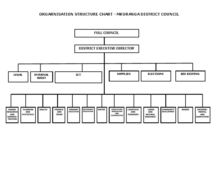 Mkuranga District Council Structure Chart | PDF