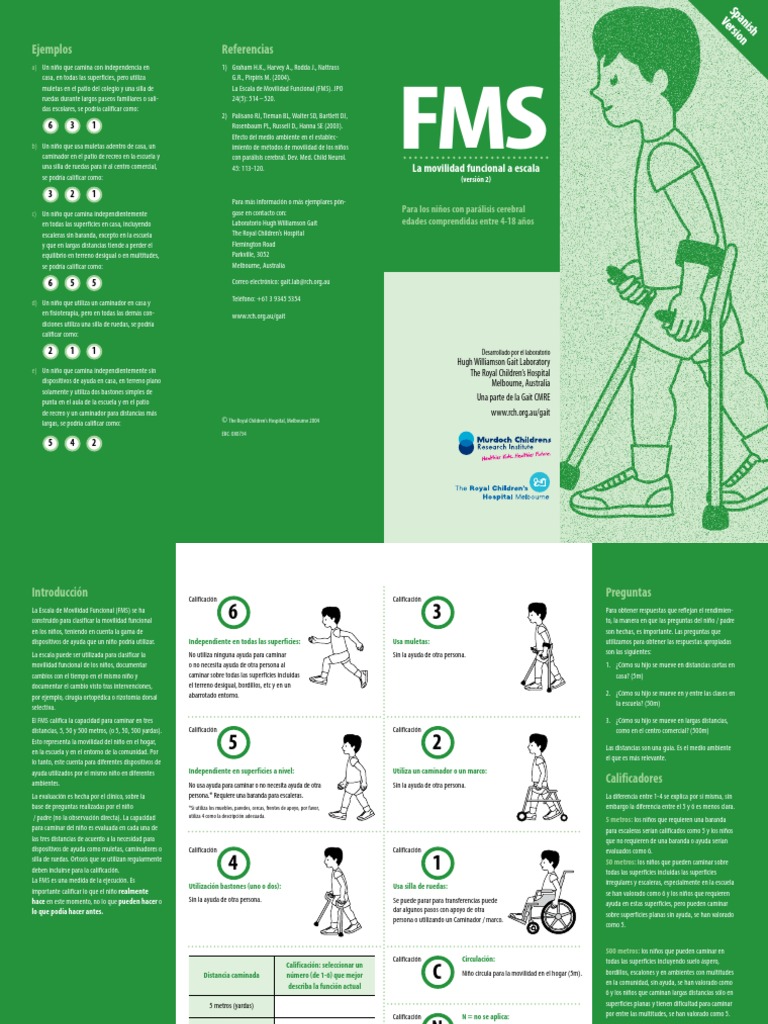 Referencias Ejemplos: La Movilidad Funcional A Escala | PDF