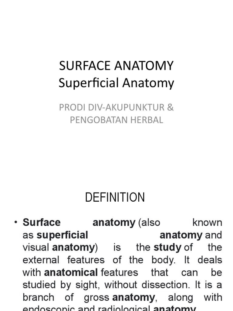 Introduction Surface Anatomy | PDF | Anatomy | Anatomical Terms Of Location
