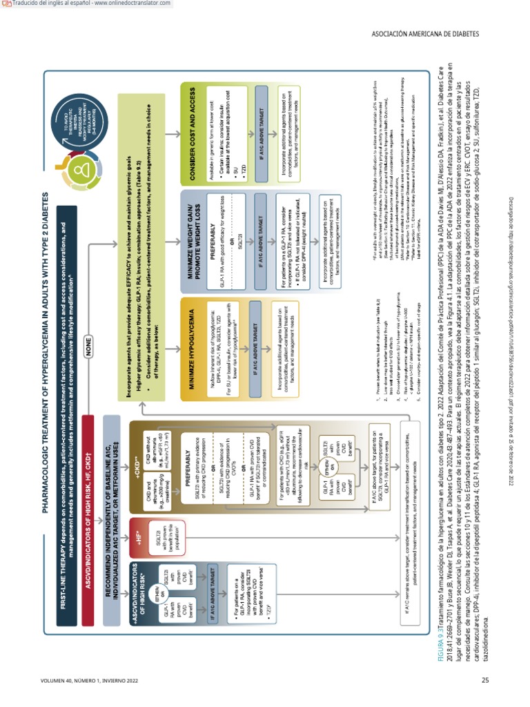 ADA 2022 STANDARDS OF CARE FOR PRIMARY CARE PROVIDERS-2.en - Es | PDF ...