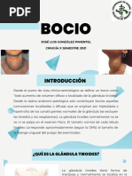 Clasificación Del Bocio | PDF