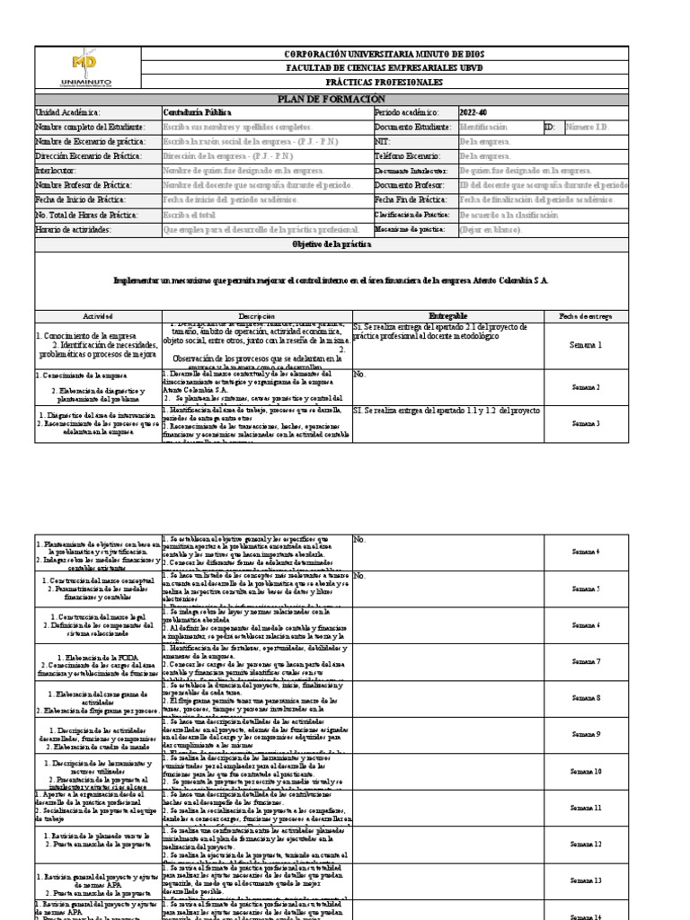 Ejemplo Formato Plan de Formación | PDF | Business | Contabilidad