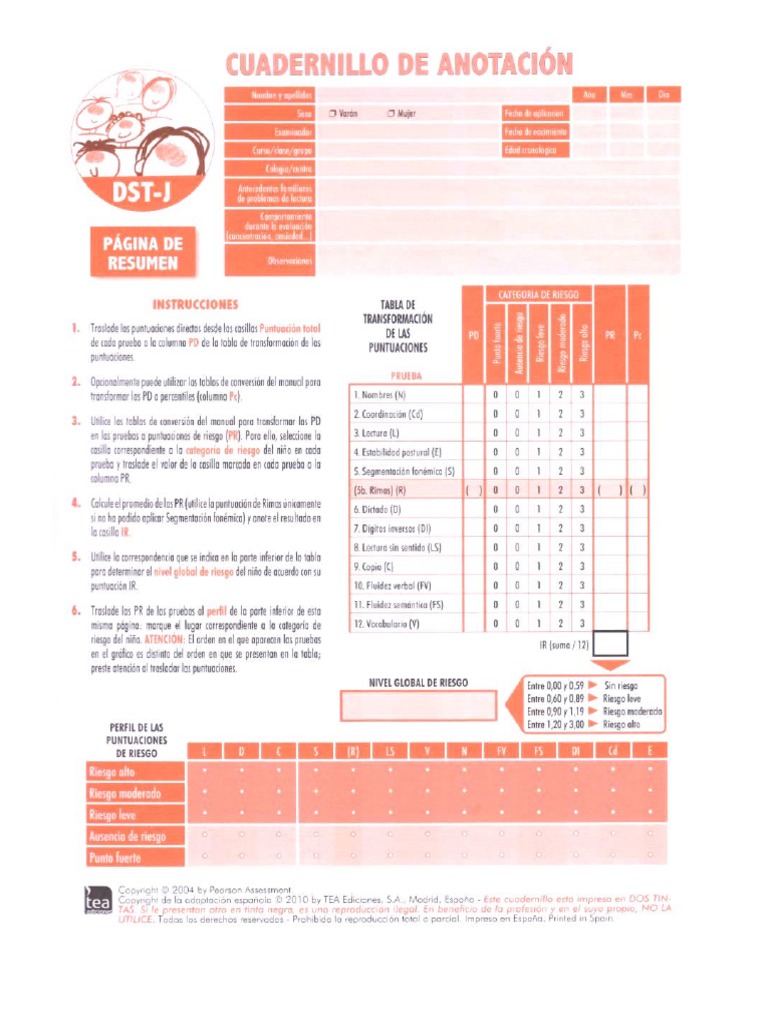 Planillas DSJ-T | PDF