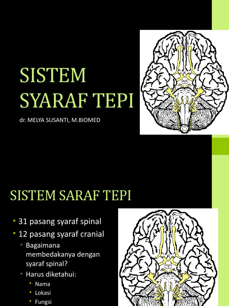 Anatomi SISTEM SYARAF TEPI | PDF