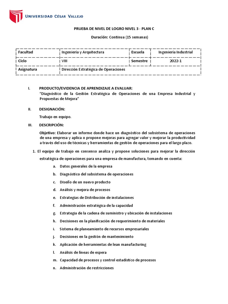DEO - PRUEBA DE NIVEL DE LOGRO Nivel 3 DEO | PDF | Planificación | Business