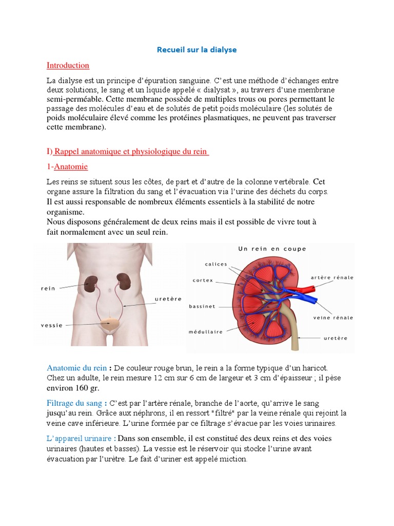 Recueil Sur La Dialyse - 624427 | PDF | Rein | Insuffisance rénale ...