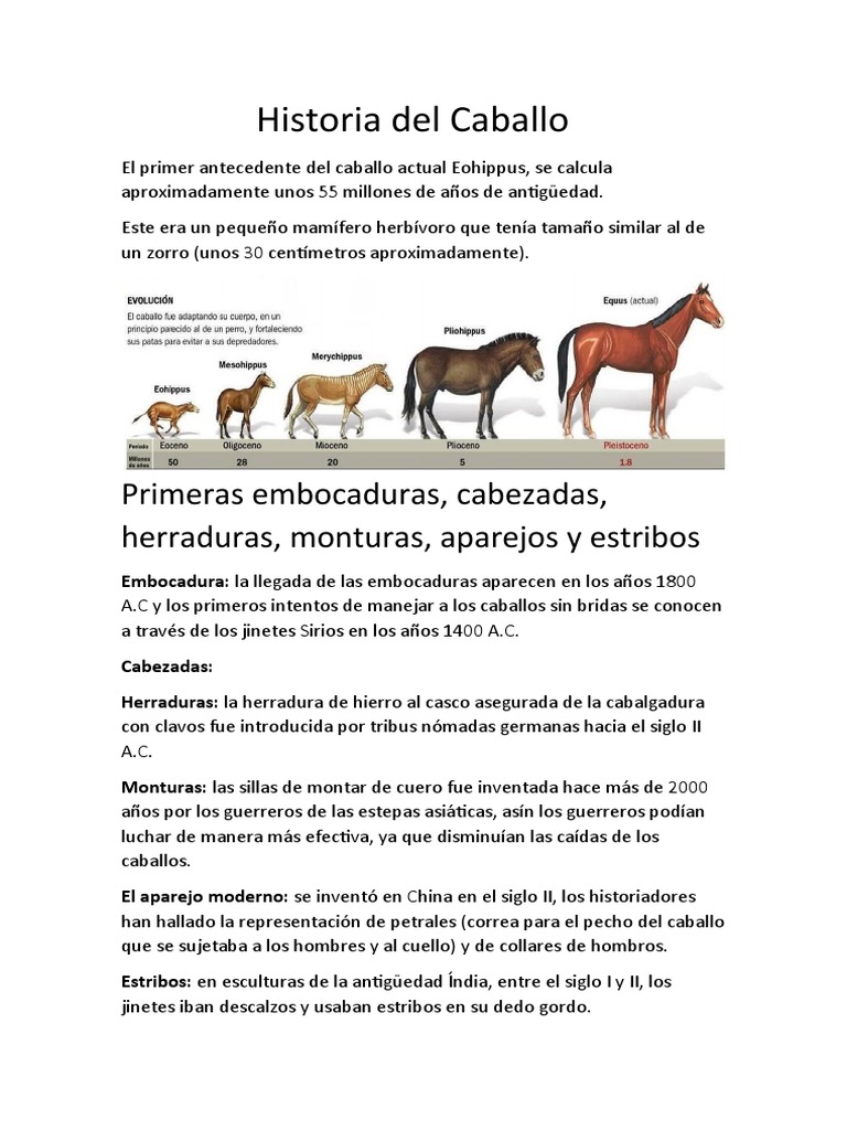 La evolución del caballo: de su origen prehistórico hasta su papel ...