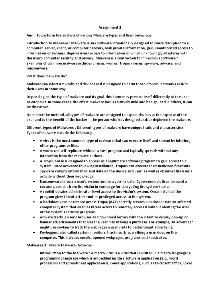 As Assignment 2 | PDF | Malware | Computer Virus
