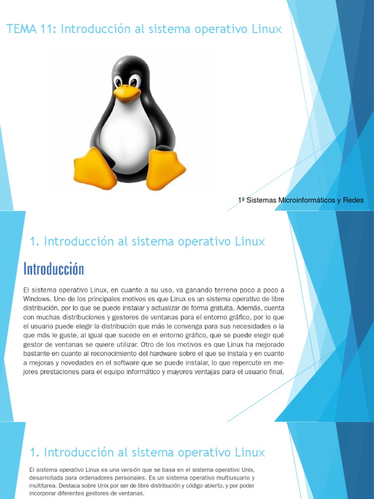 Tema 11. Introducción Al Sistema Operativo Linux | PDF | Hogar, jardinería y bricolaje | Informática