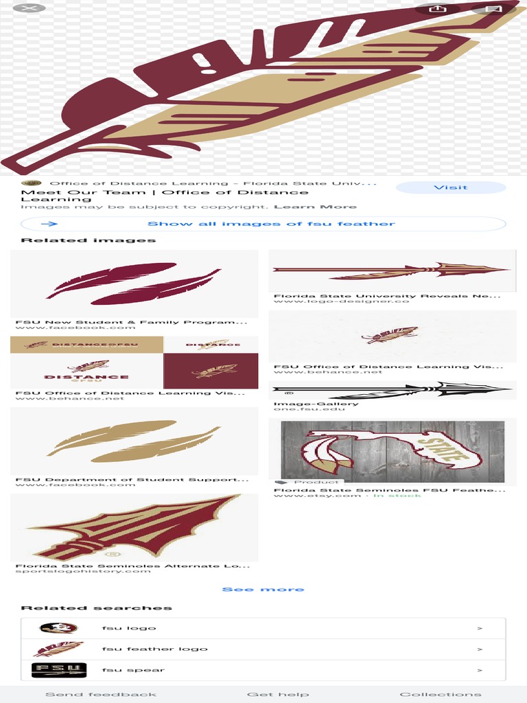 Fsu Feather - Google Search | PDF