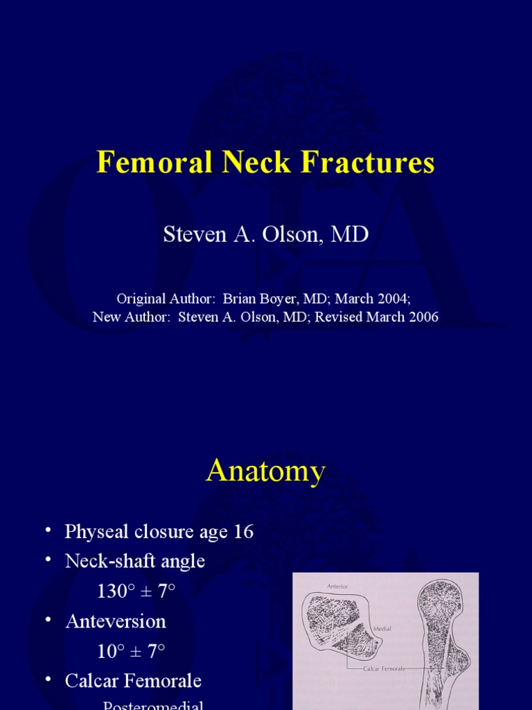 Femoral Neck Fractures: Steven A. Olson, MD | PDF | Diseases And ...