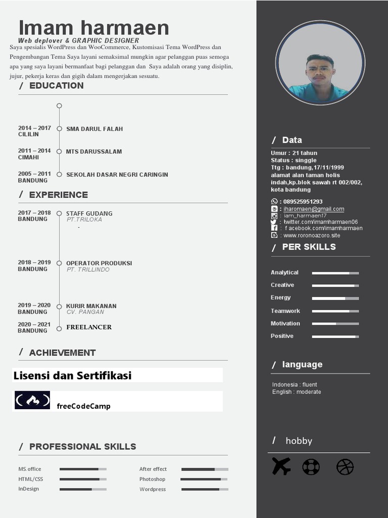 Only CV | PDF