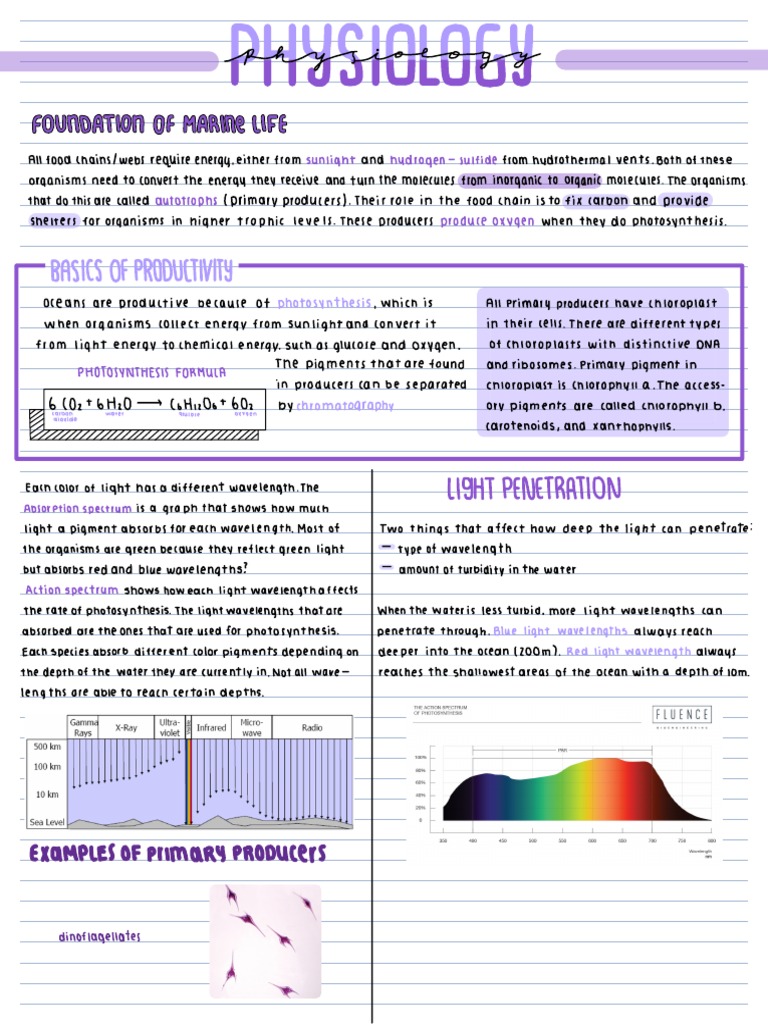 Physiology Notes | PDF