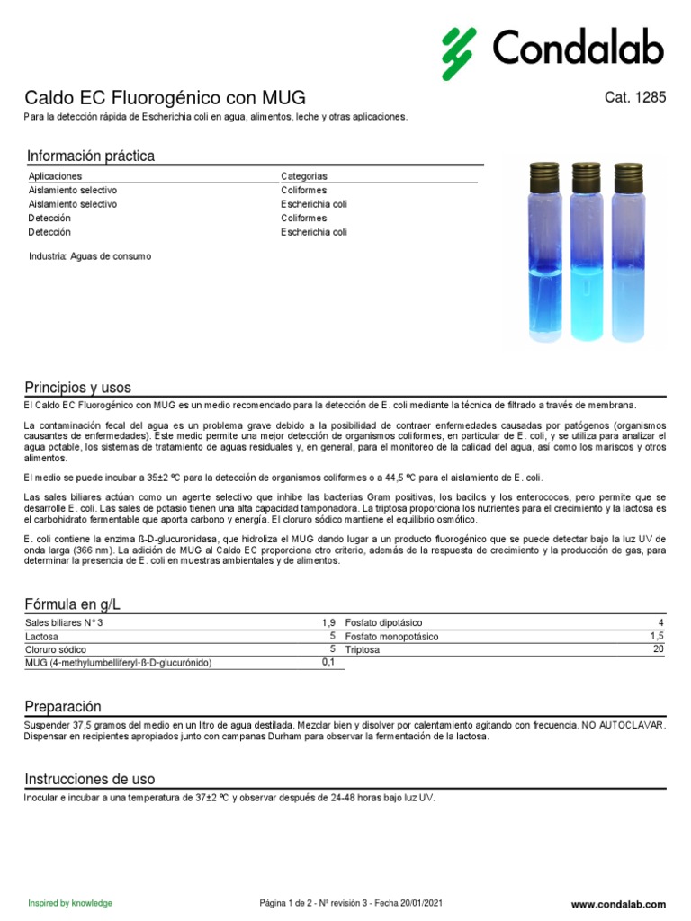 Ec Mug | PDF | Escherichia coli | Química