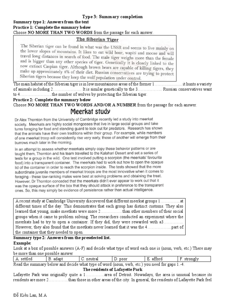 Type 3 - Summary Completion | PDF | Tiger
