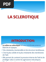 Anatomie de La Sclerotique | PDF | Cornée | Œil humain
