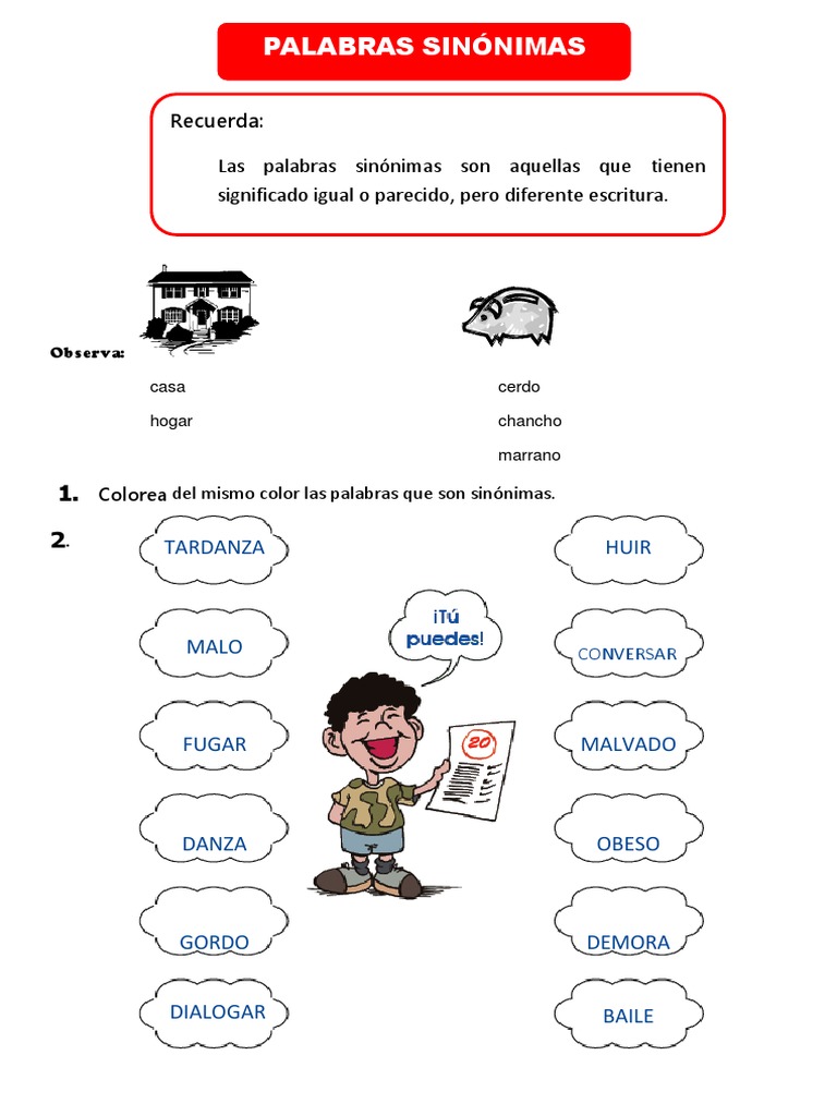 Palabras Sinónimas para Primer Grado de Primaria | PDF