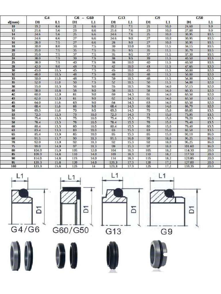 Stationary Types Mechanical Seal | PDF