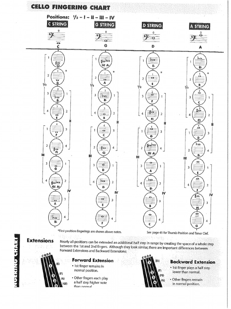 Positions On Cello and Bass | PDF