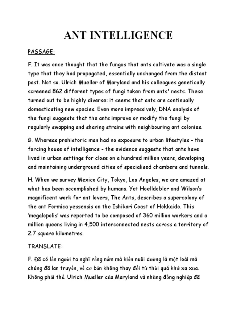 Ant Intelligence | PDF