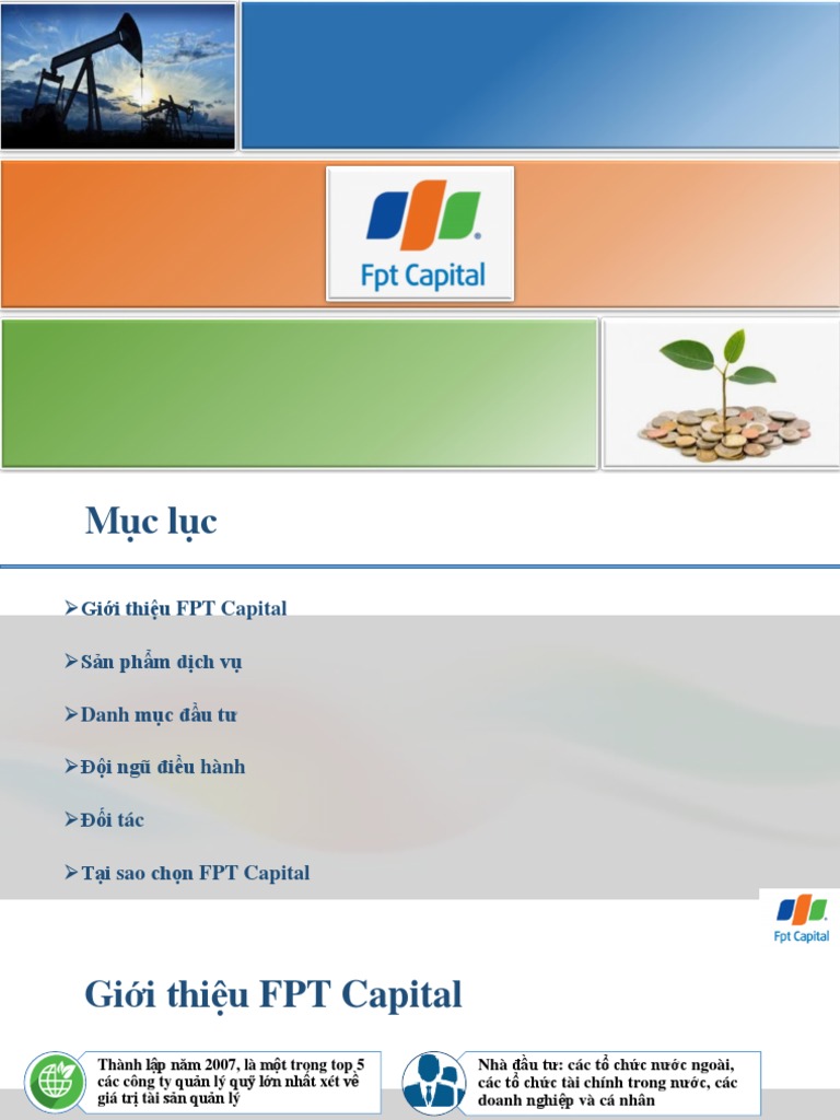 FPT Capital Profile - VN-Apr 2020 | PDF