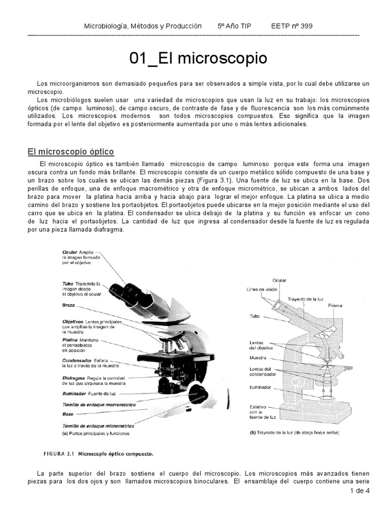 El Microscopio | PDF | Óptica | Microscopio