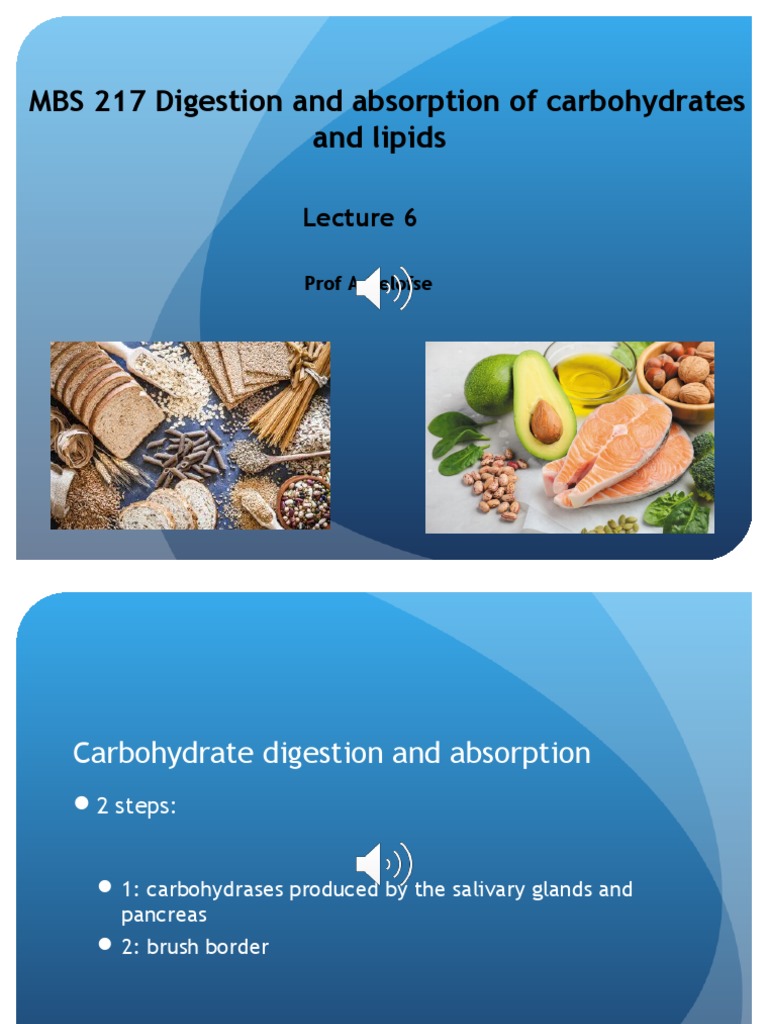 MBS 217 Carbs and Lipids Lecture 5 - 6 B | PDF | Digestion | Carbohydrates