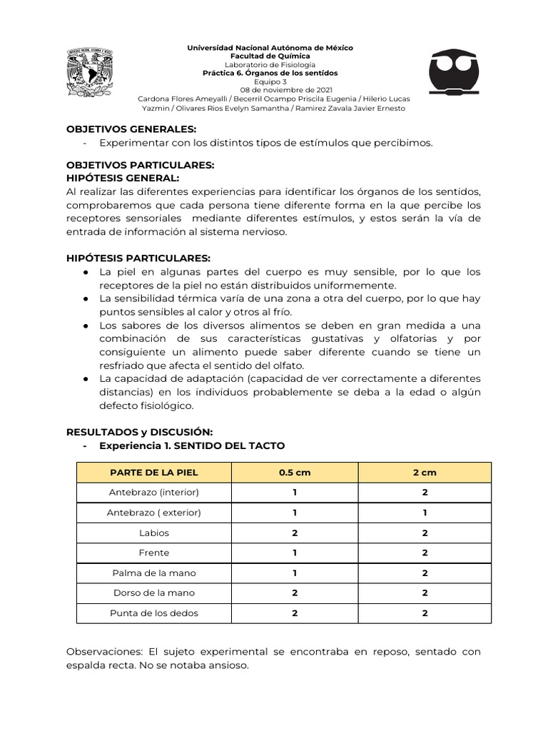 Práctica 6. Órganos de Los Sentidos | PDF | Ojo humano | Percepción visual