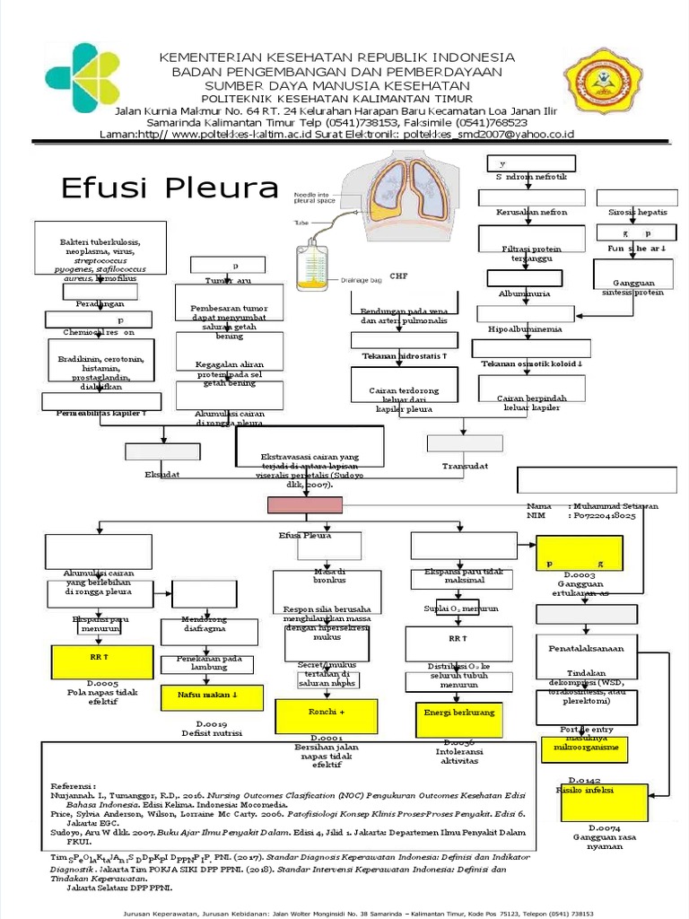 PDF Woc Efusi Pleura - Compress | PDF