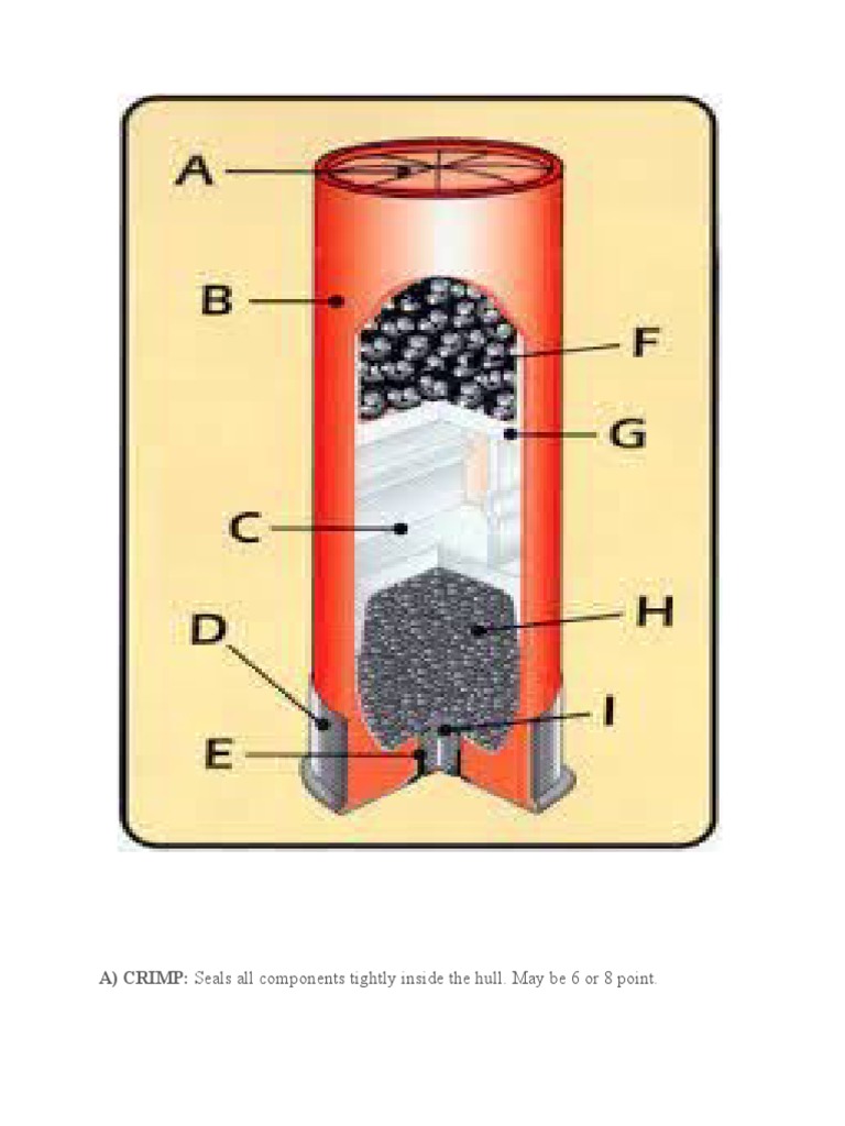 The Components and Functions of a Shotgun Shell: A Breakdown | PDF