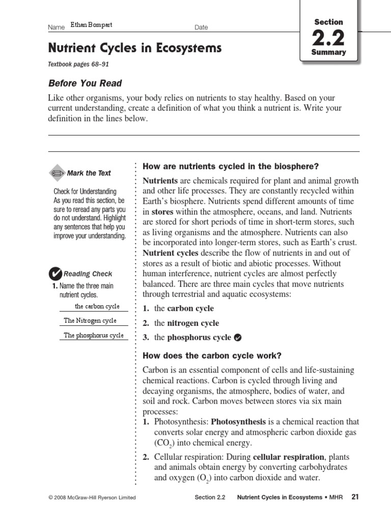 Kami Export - Cycles Activity | PDF | Carbon Cycle | Ecosystem
