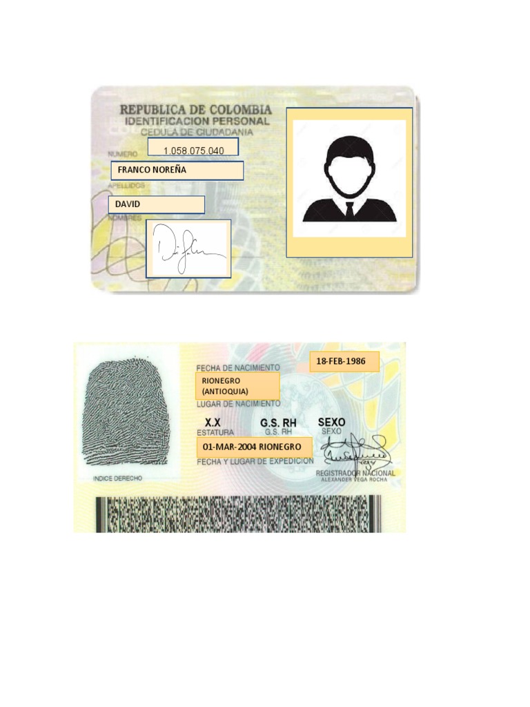 Cedula David. Definitiva | PDF