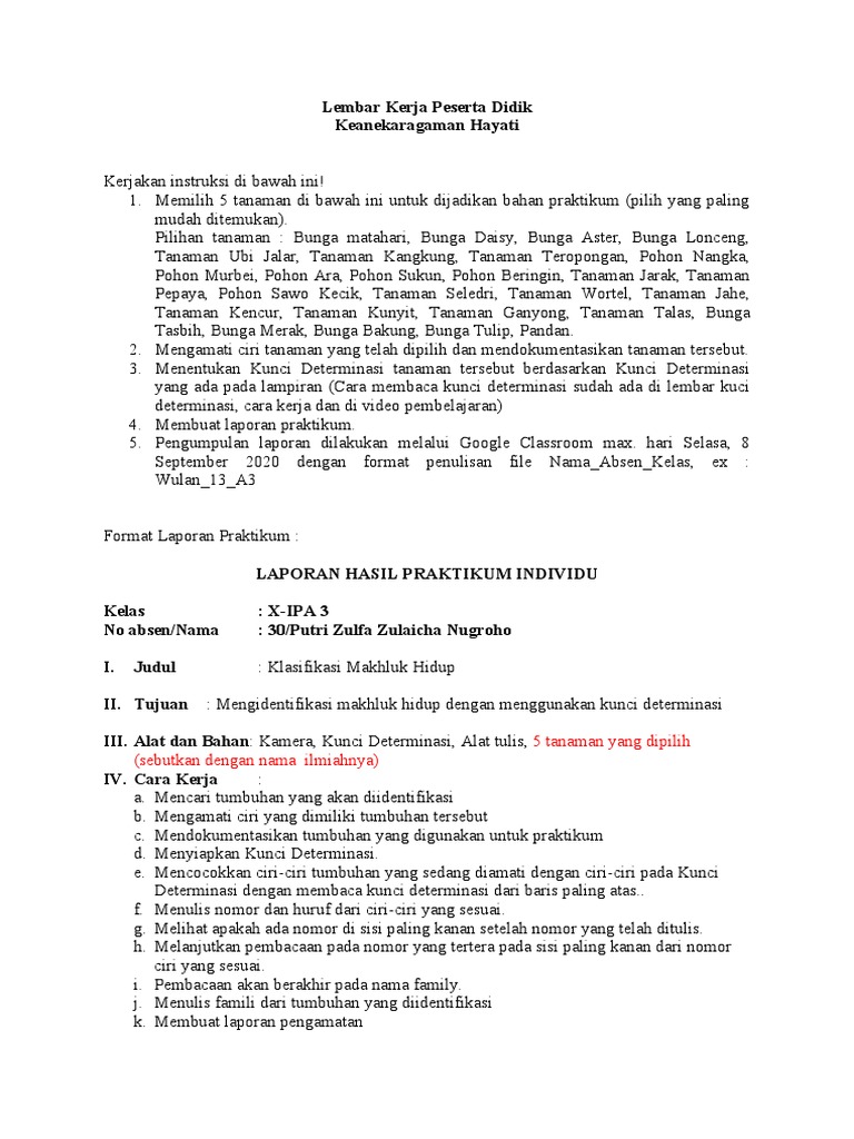 (Template) LKPD INDIVIDU 3 | PDF