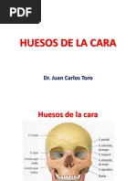 Tecnica Cigomatica | PDF | Anatomía humana | Cabeza y cuello humanos