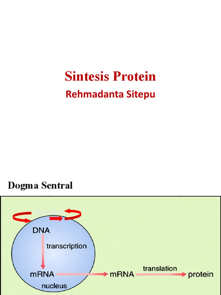Biologi Dasar - Sintesis Protein | PDF