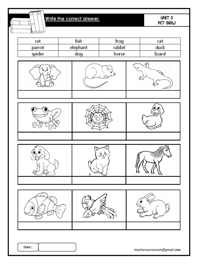 English Module Year 1 Unit 3 | PDF