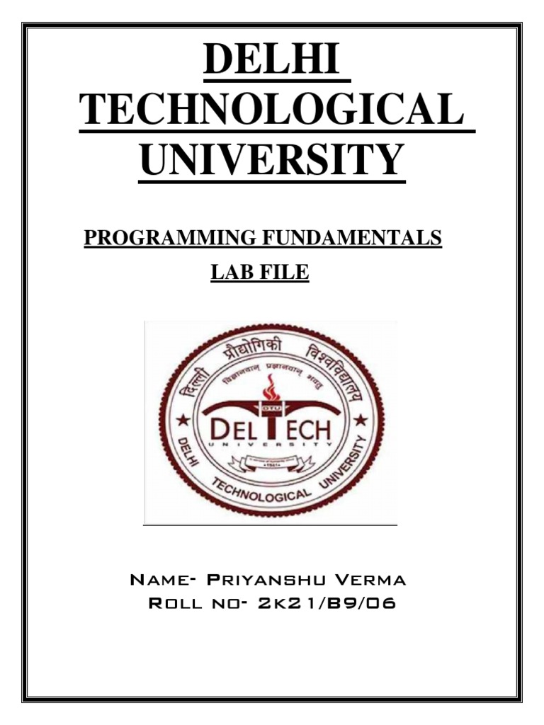 Programming Lab File Pdf Pointer Computer Programming Integer Computer Science 