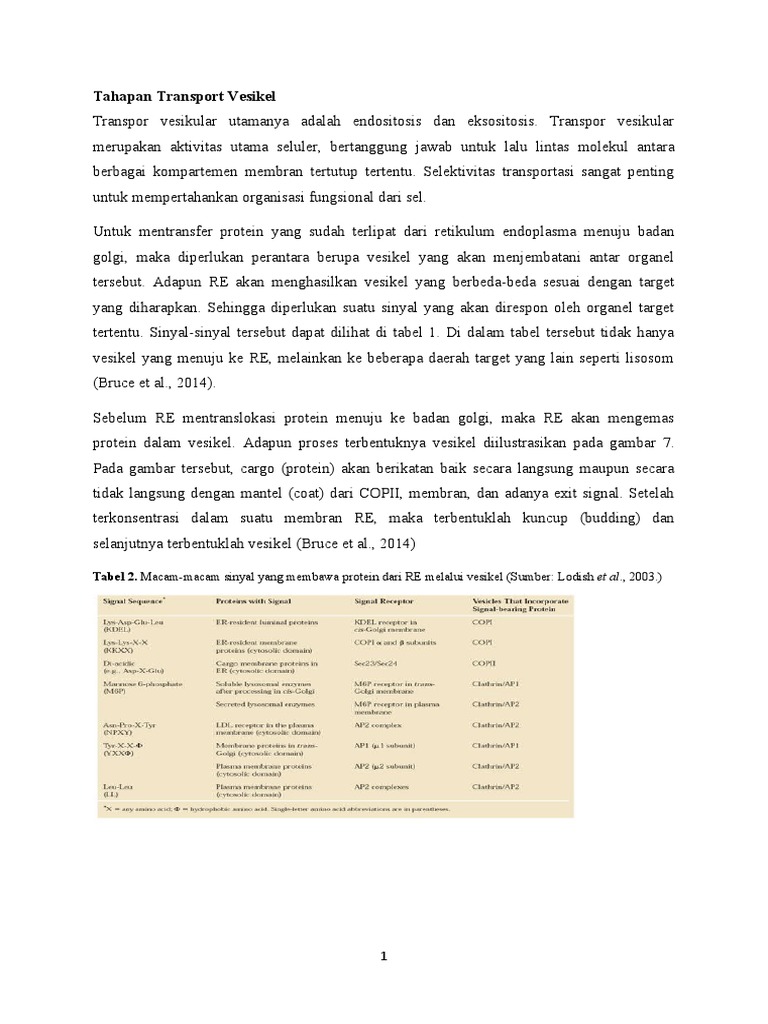 Proses Transport Vesikel dalam Sel | PDF