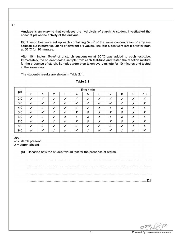 Test Sample Paper | PDF | Career & Growth | Computers