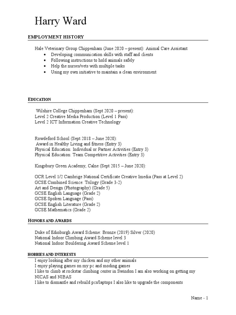 Harry Ward: Employment History | PDF | Sports & Recreation | Art