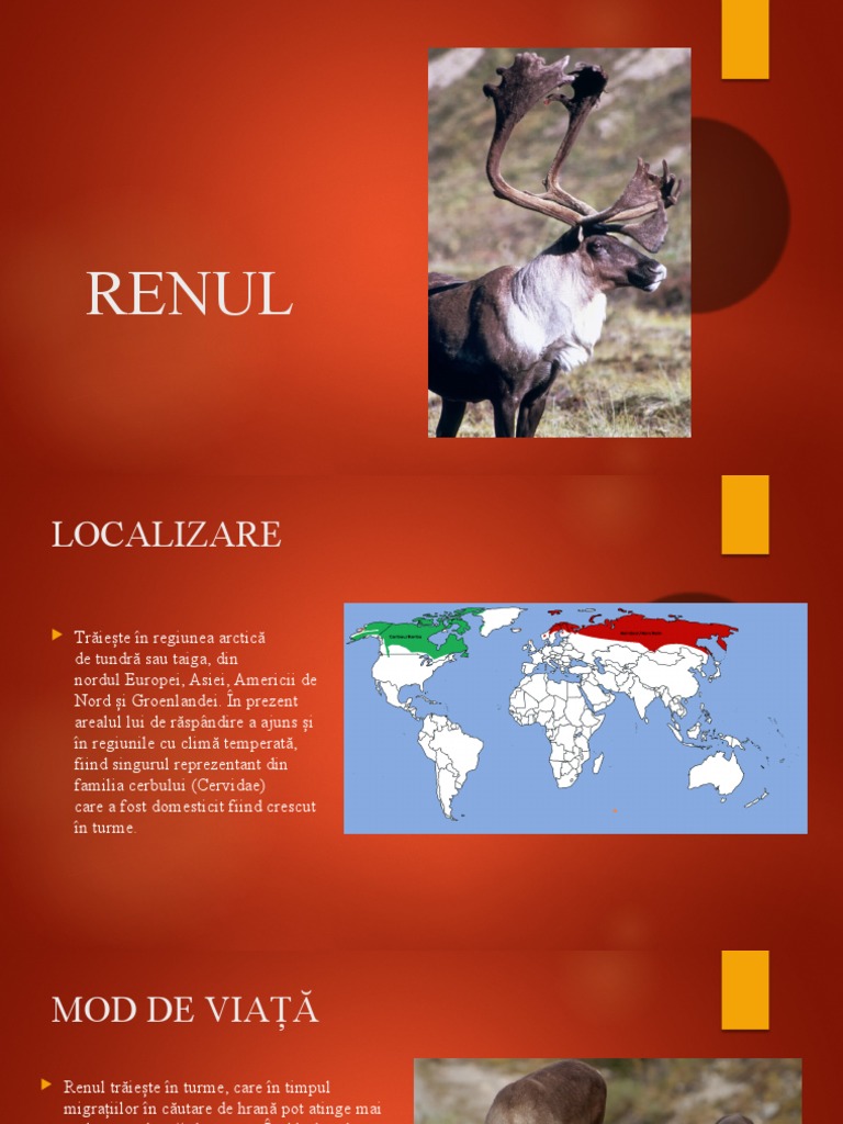 Renul | PDF