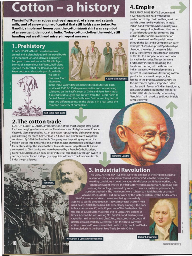 History of Cotton | PDF | Cotton | Nanotechnology