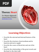 Anatomy Heart Cadaver | PDF | Heart Valve | Coronary Circulation