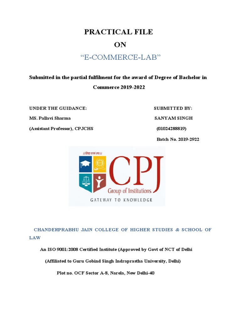 "E-Commerce-Lab": Practical File ON | PDF | E Commerce | Internet