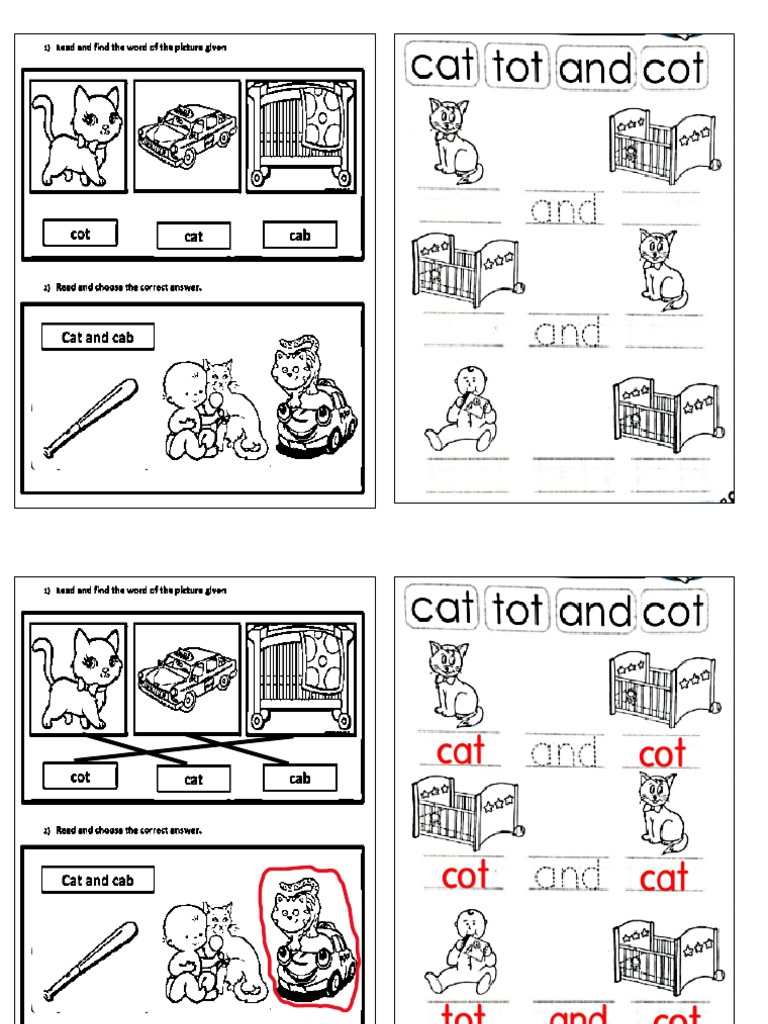 Read Easy Activity | PDF