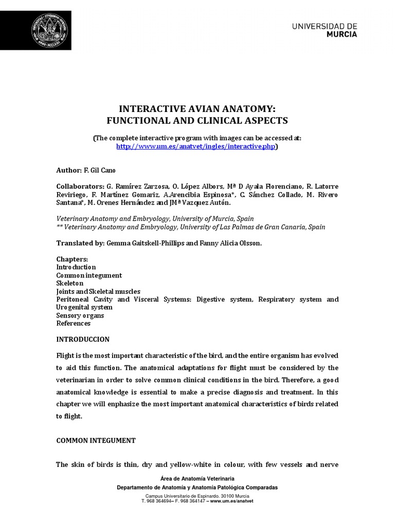 Avian Anatomy | PDF | Feather | Vertebral Column