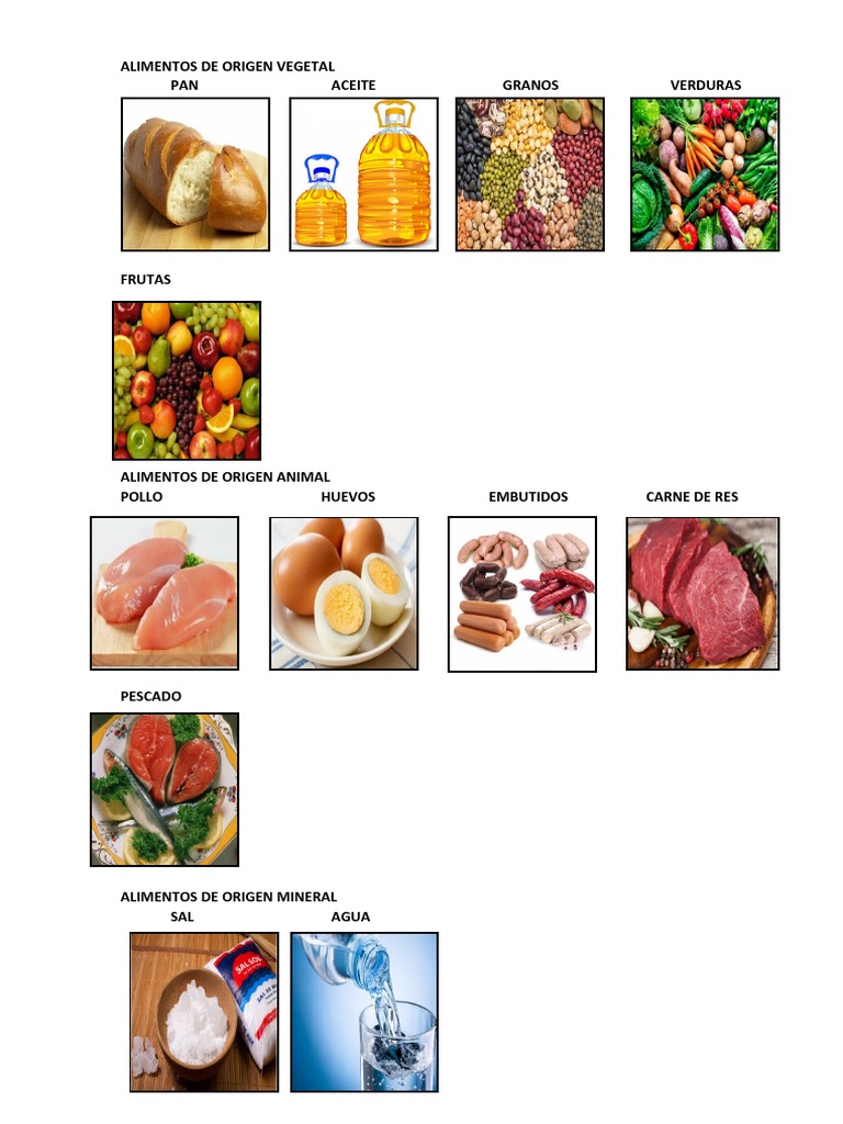 Alimentos de Origen Vegetal | PDF