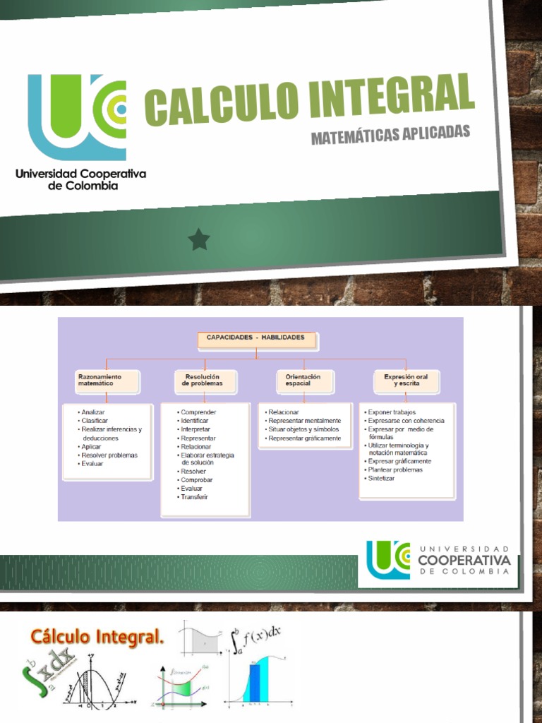 Introduccion Calculo Integral | PDF | Integral | Cálculo